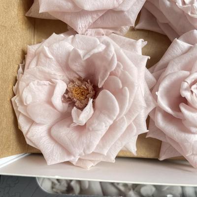 永生花玛格丽特盒装保鲜花多色DIY手工材料包玻璃罩成品花材