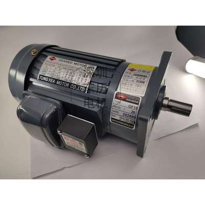 TUNG YEA MOTOR DONGYI GEAR GF18-100-20SM东怡减速电机380V马达
