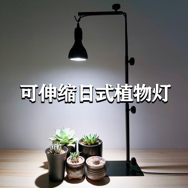 植物补光灯支架立式块根植物架子桌面绿植龟甲龙龙舌兰造景爬虫架