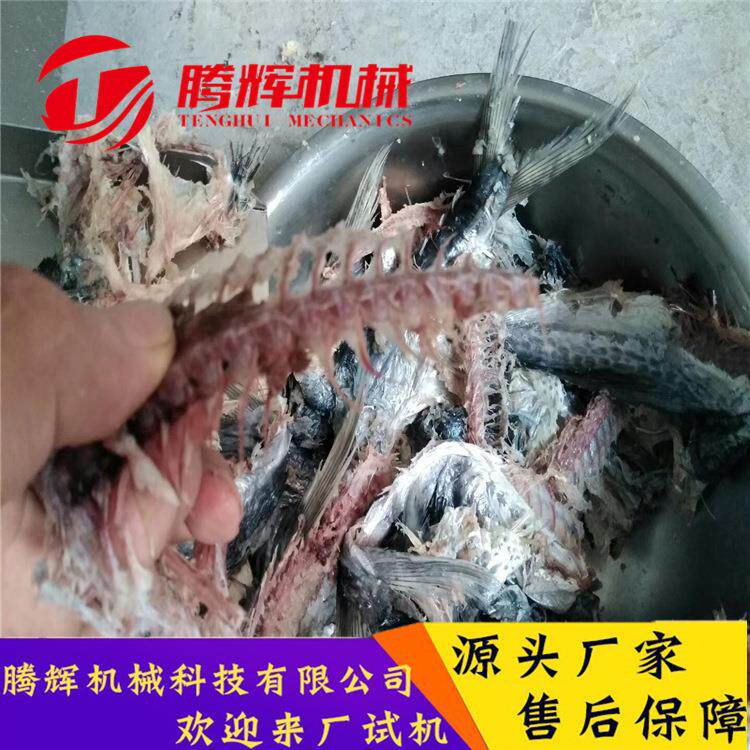 全自动鱼虾肉骨脱离机 淡水鱼采肉机 鱼肉分离设备 腾辉机械