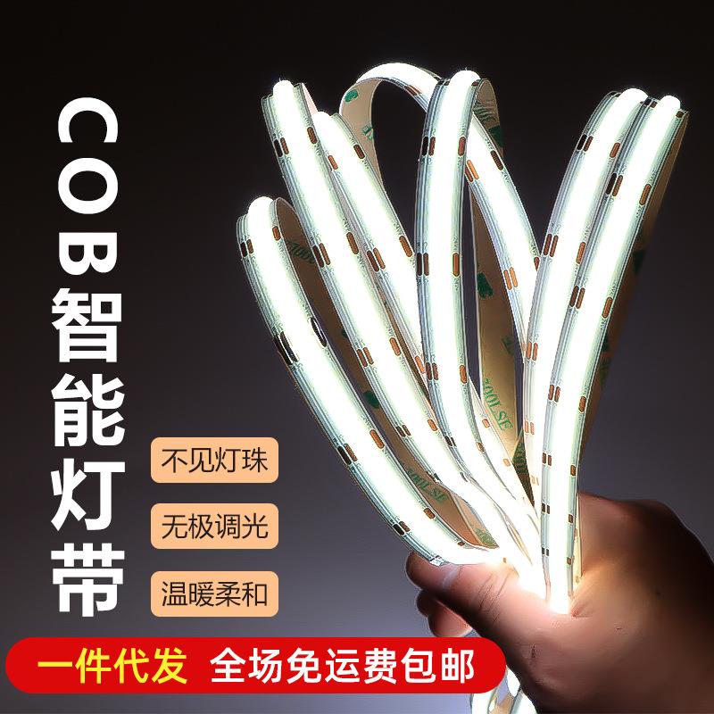 涂鸦智能灯带语音凌动按键低压24V三色贴片无级调光氛围线性灯条