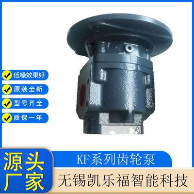 KRACHT克拉克齿轮泵KF12BF2 双向油泵 减速机油泵