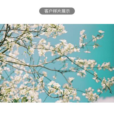 135电影卷5207彩色5219负片35mm胶片ECN2胶卷5294反转片E6幻灯片