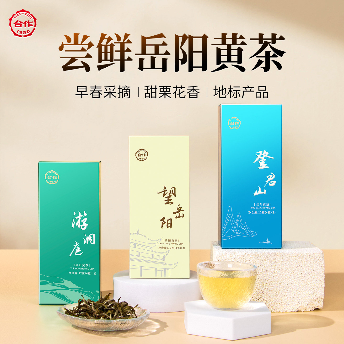 黄茶茶叶君山银针黄茶春茶采摘盒装茶地标产品岳阳黄茶