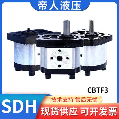 SDH上海大众液压齿轮泵CBTt三模数转向泵特种车油泵电机驱动