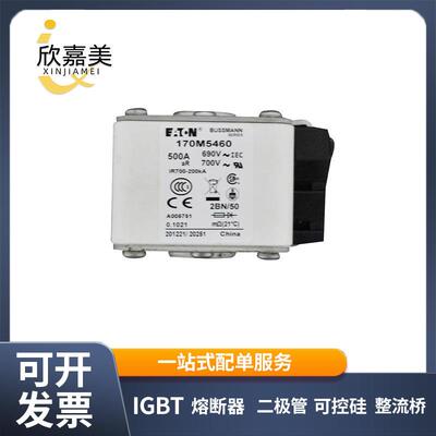 170M5460 170M5462 快速熔断器 保险丝 电子元器件 量大价优