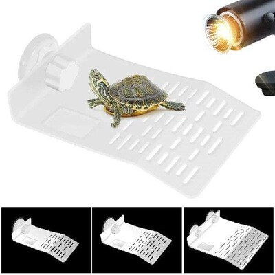 Large Transparent Turtle Basking Platform Fish Tank