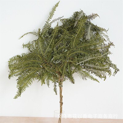 【dried Flowers Of Mantae Leaves 】home Soft Decoration Natu