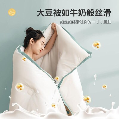 summer quilt/comforter/blanket/quilts/duvet /blankets 空调被