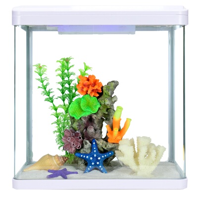 Small fish tank aquarium glass living room filter goldfish