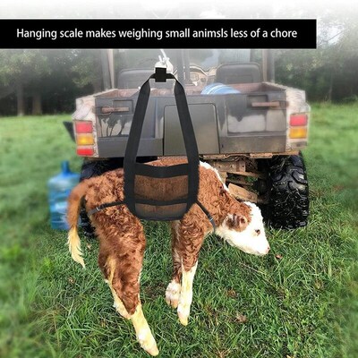 Calf Sling for Weighing Small Animals,Livestock Sling, Hang
