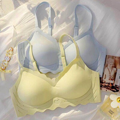 Comfortable young girl students no trace bra on the support