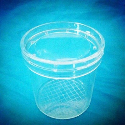 Insect Observation Box Insect Magnification Observation Cup