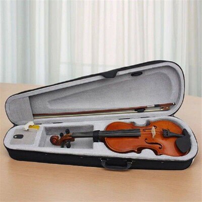 Violin 4/4 Full Size Kit with Case Bow Extra Strings Rosin
