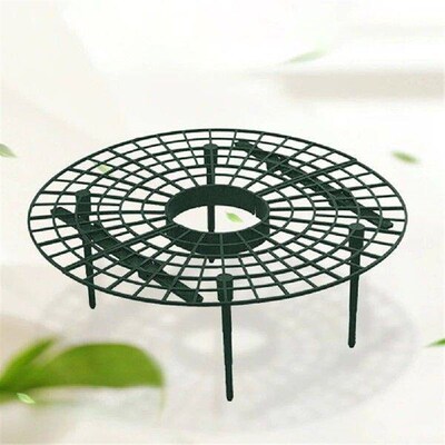 Strawberry Supports with 4 Sturdy Legs Keeping Plant Fruit