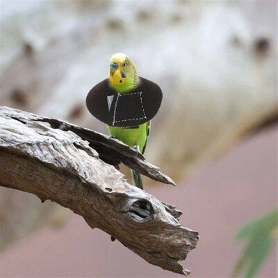 2 Pcs Anti Bite Collar for Birds Prevents Pecking Scratch