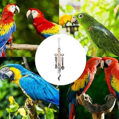 Parrot Toys Cockatiel Pull Spoon Toys Interactive Chew Toys