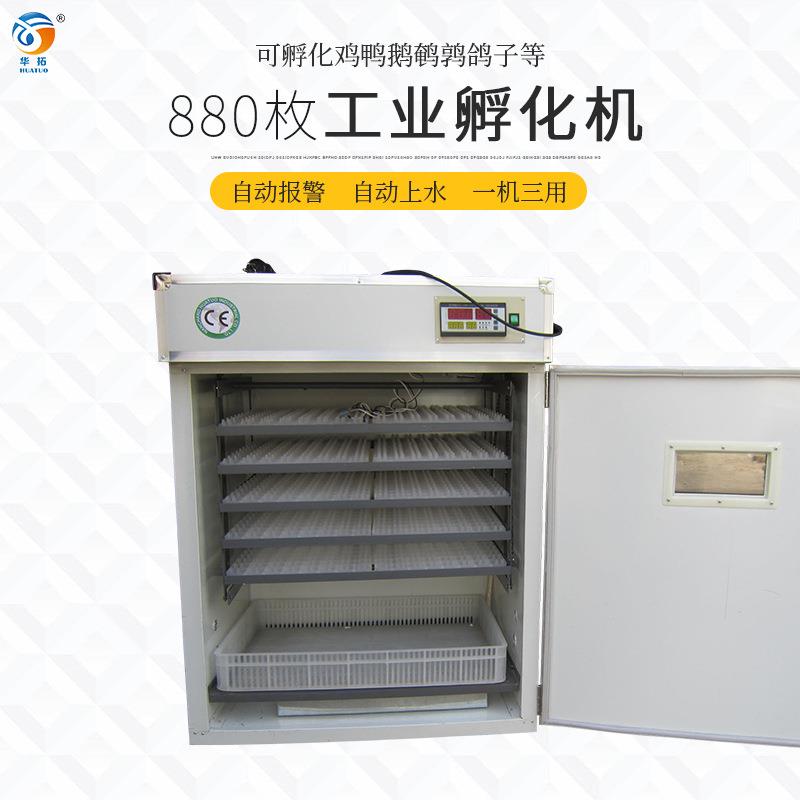 880枚小型全自动孵化机 小鸡孵化箱 鹌鹑孔雀孵化设备 鸡蛋孵化器