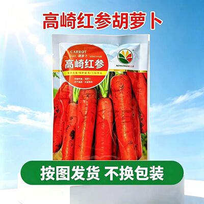 高崎红参红罗卜胡萝卜种子 表面光滑 根形优美 简单易种