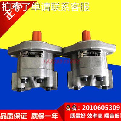 天津派克 液压齿轮油泵 G5-5 6 8 10 12 16 20 25 30-1E13S-20R/L