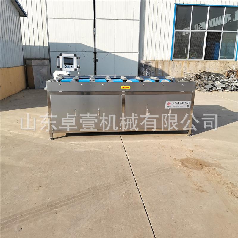 多工位全自动筛选榴莲水果 海参定量配重称 生姜鲜姜组合秤设备厂