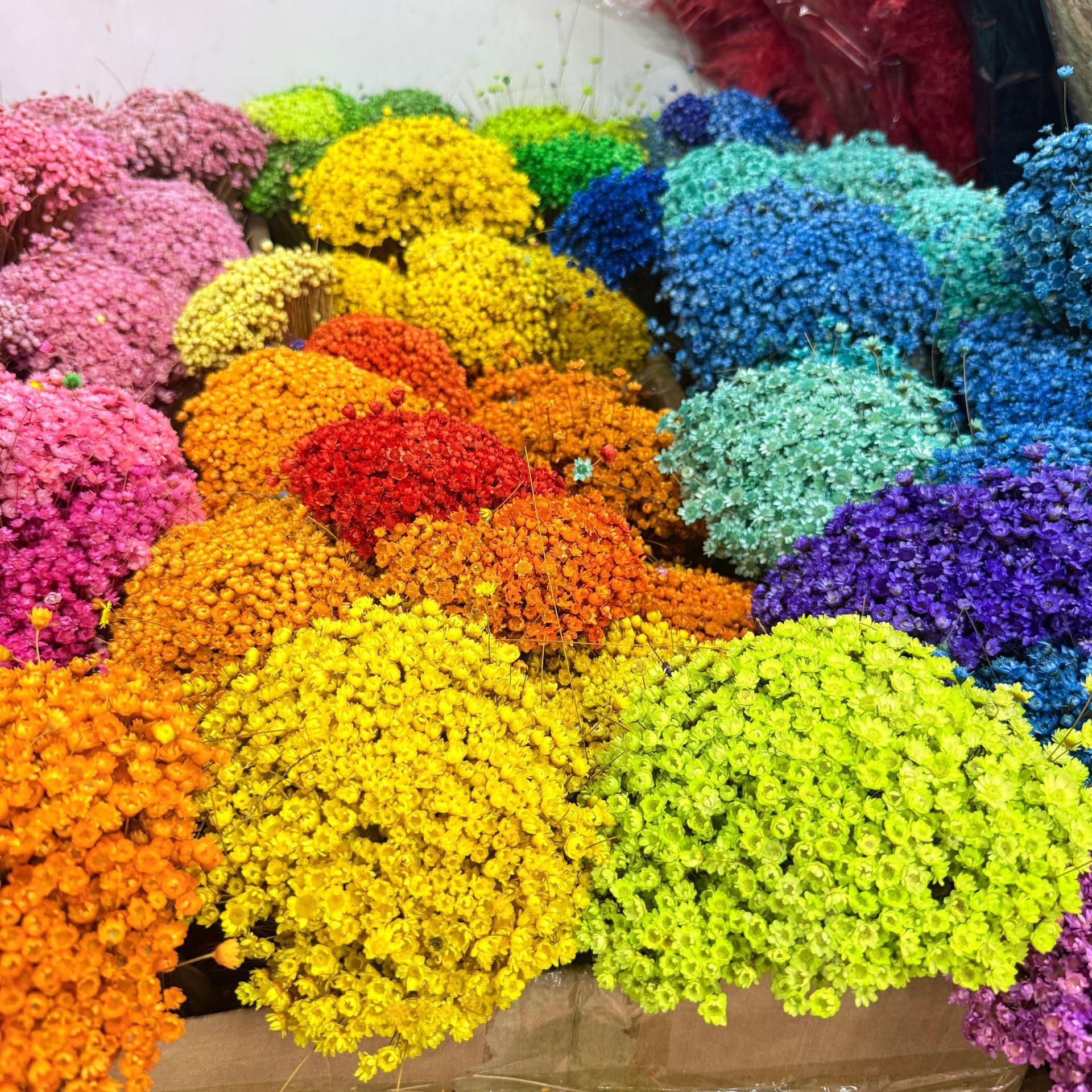 花者巴西小雏菊干花永生mini花束树脂蜡烛diy干花配材迷你小星花