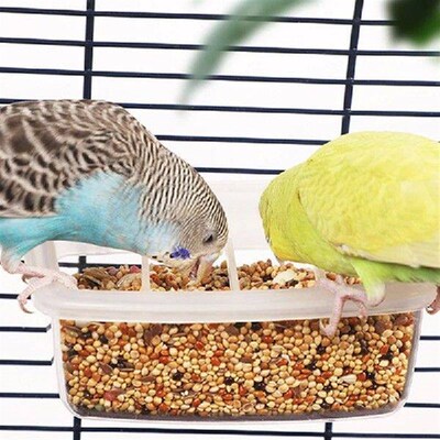 Parrot Feeder Drinker Bird Supplies Bird Cage Parrot Birds