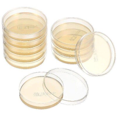 10 Pcs Nutrient Agar Plate Made Sea Moss Gel Flatware