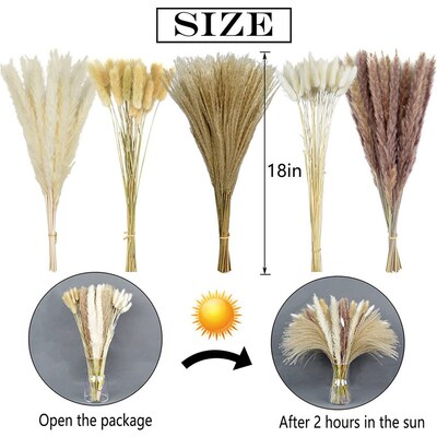 100pcs Room decor dried flower bouquet pampas grass Bohemian