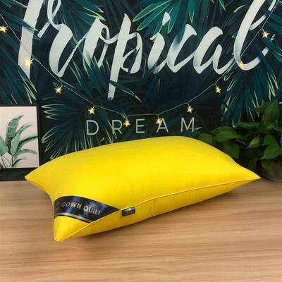 Pillow Healthy pillows feather velvet hotel pillow for bed