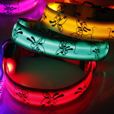 Dog Collar Light Luminous Electronic Collar Perro Peque O Ny