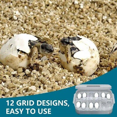 Reptile Egg Incubator Tray 12 Grids Transparent Reptiles