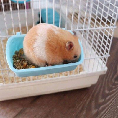Plastic Hamster Cup Small Pet Cage Water Bowl for Birds