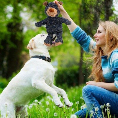 Indestructible Robust Bear Squeaky Plush Bear Toy