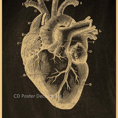 Anatomical Skeleton Chalkboard Poster Kraft Paper Posters DI
