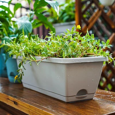 Vegetable pots flower Plant rectangular large planting box