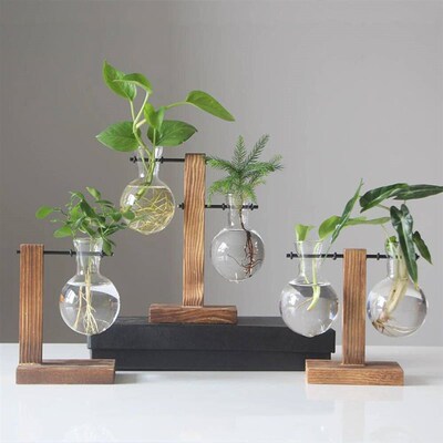Glass Desktop Planter Bulb Vase Wooden Stand Hydroponic Plan