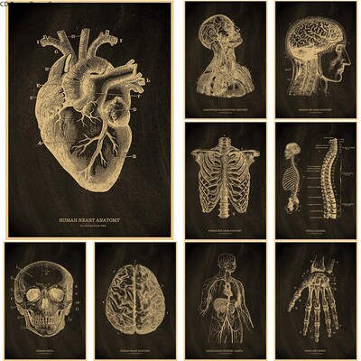 Anatomical Skeleton Chalkboard Poster Kraft Paper Posters DI
