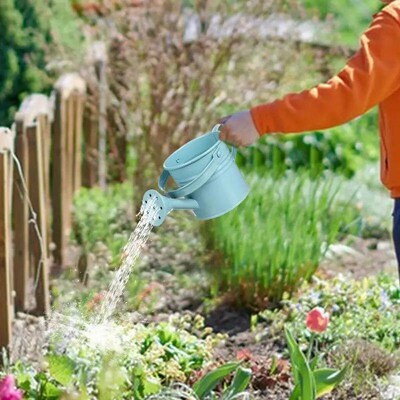 Watering Pot Galvanized Iron Plants Watering Can Handled Gar