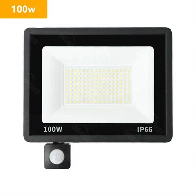 LED PIR Motion Sensor Floodlight Outdoor Wall Light White Li