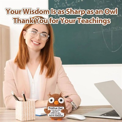 Funny Crochet Positive Inspirational Emotional Support Owl D