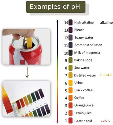 1set = 80 Strips! Professional 1-14 pH litmus paper ph test