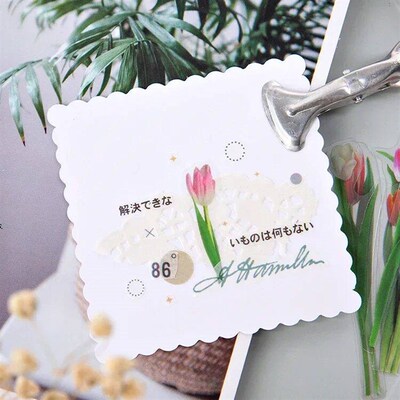Flowers er pack 40pcs Fresh Flower Plant Transparent Waterpr