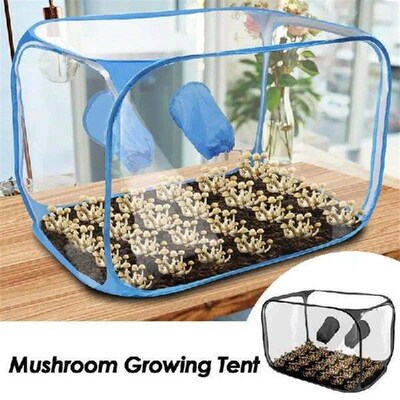 Still Air Box for Mushroom Planting Bag Mushroom Tent