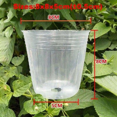 8cm 10cm Garden transparent Nursery flower Pots Plastic