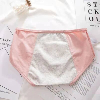 Leakproof Women Panties 3XL 4XL Waterproof Menstrual Underwe