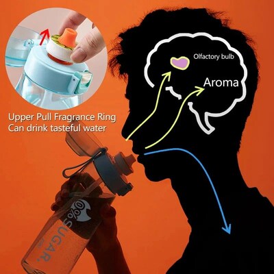 650ml Flavored Water Bottle with Flavor pods Air Water Up Bo