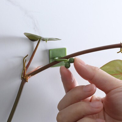 Plants Greens Wall Mount Fixer Climbing Helper 10PCS Home In