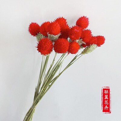 Strawberry Fruit Dried Flowers Strawberry Ball Mixed Bouquet