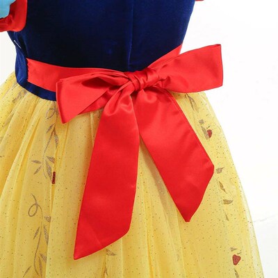 Girl Snow White Dress Kids Deluxe Embroidery Gown With